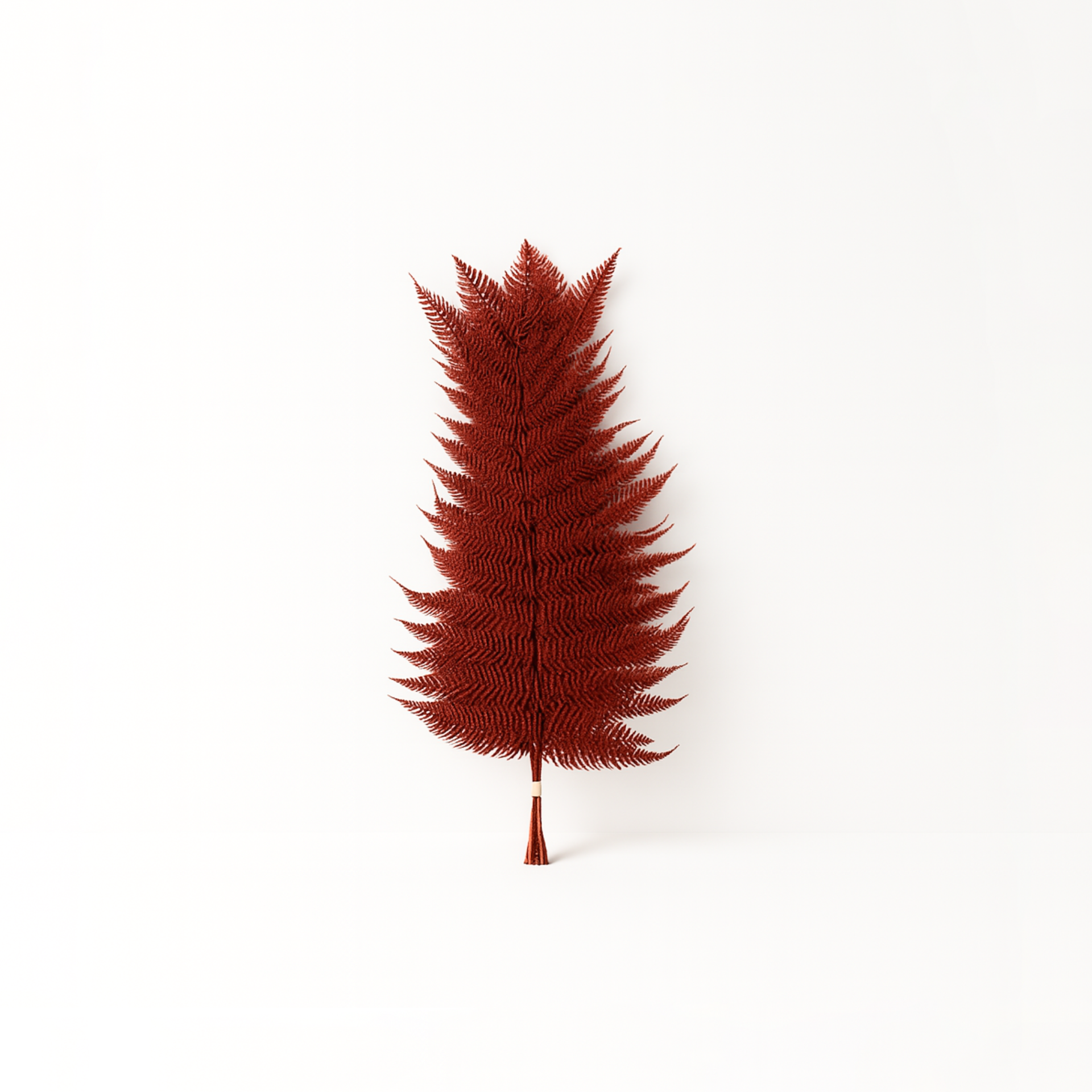 Dried Flowers – Natural Coral Fern Decorative Stem | ZESO Blooms